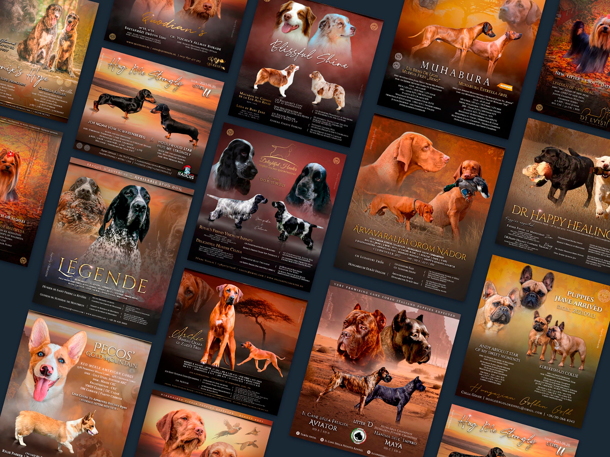 CUSTOM Graphic Design for Breeders Stud Dog Planned Litter - Etsy Canada