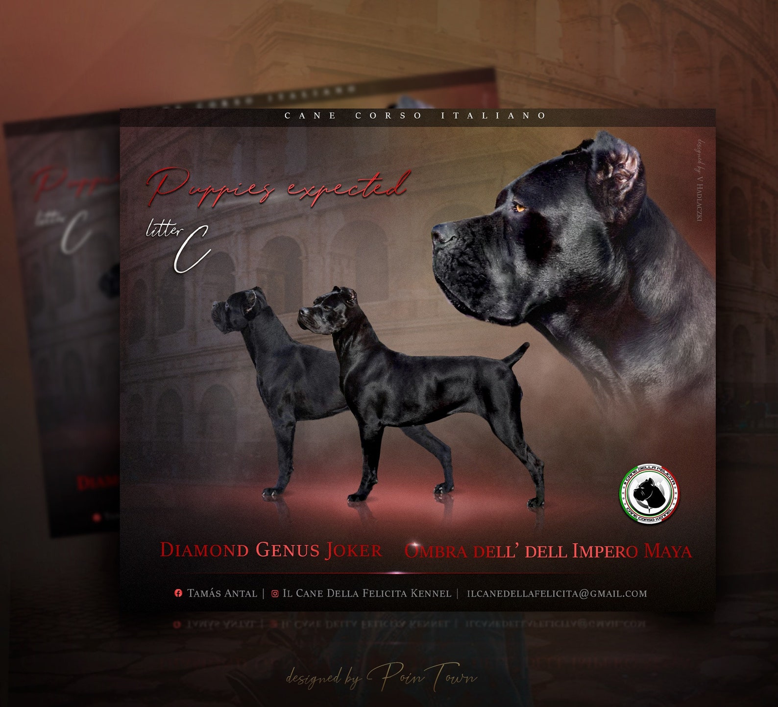 CUSTOM Graphic Design for Breeders Stud Dog Planned Litter | Etsy Canada