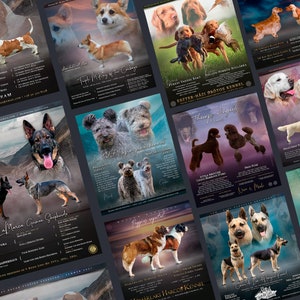 CUSTOM Graphic Design for Breeders | Stud Dog | Planned Litter ...