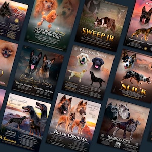 CUSTOM Graphic Design for Breeders | Stud Dog | Planned Litter ...