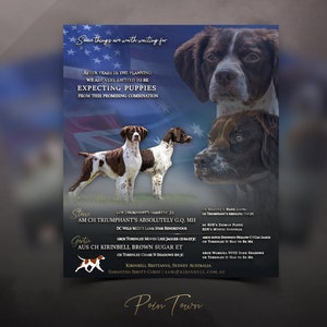 CUSTOM Graphic Design for Breeders | Stud Dog | Planned Litter ...