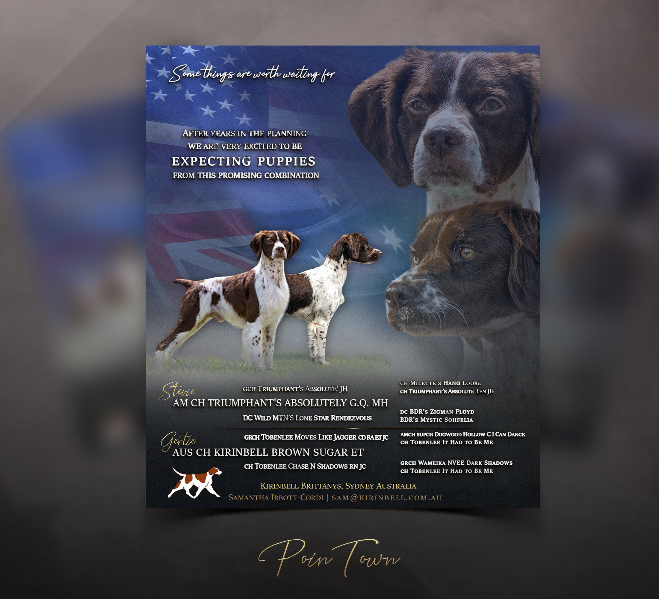 CUSTOM Graphic Design for Breeders Stud Dog Planned Litter - Etsy