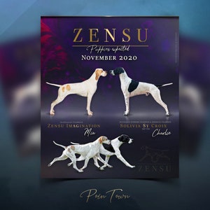 CUSTOM Graphic Design for Breeders | Stud Dog | Planned Litter ...