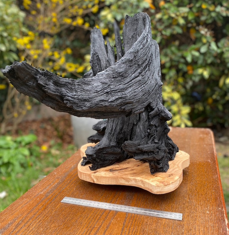 Bog Oak Sculpture - Etsy