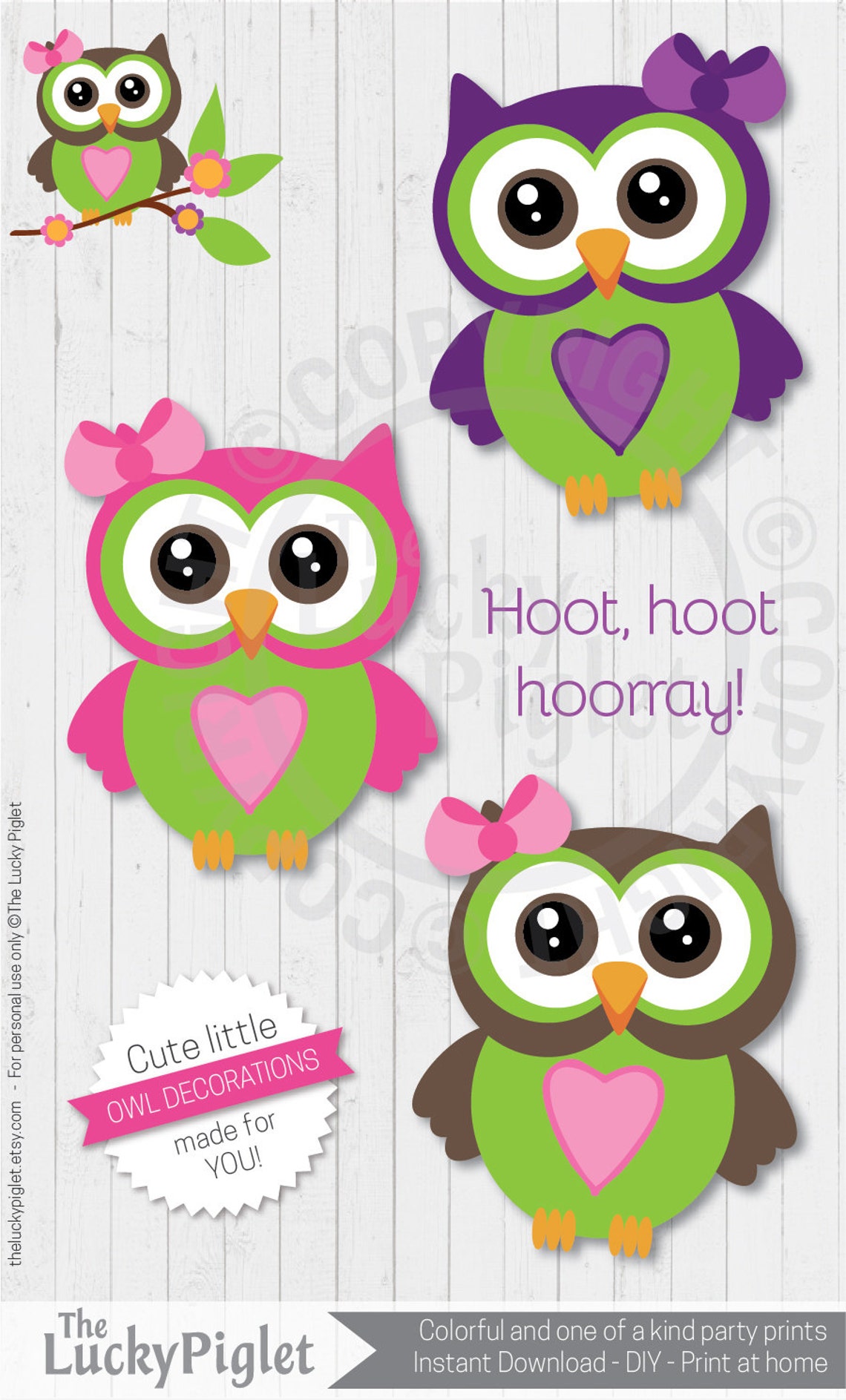 OWL DECORATIONS Owl Party Decorations Owl Baby Shower - Etsy Norway
