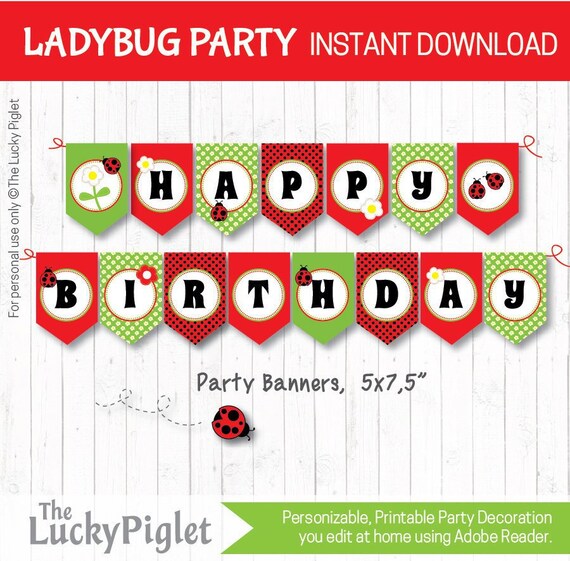Banner Imprimible Con Tema De Fiesta De Mariquita One Little Bug First