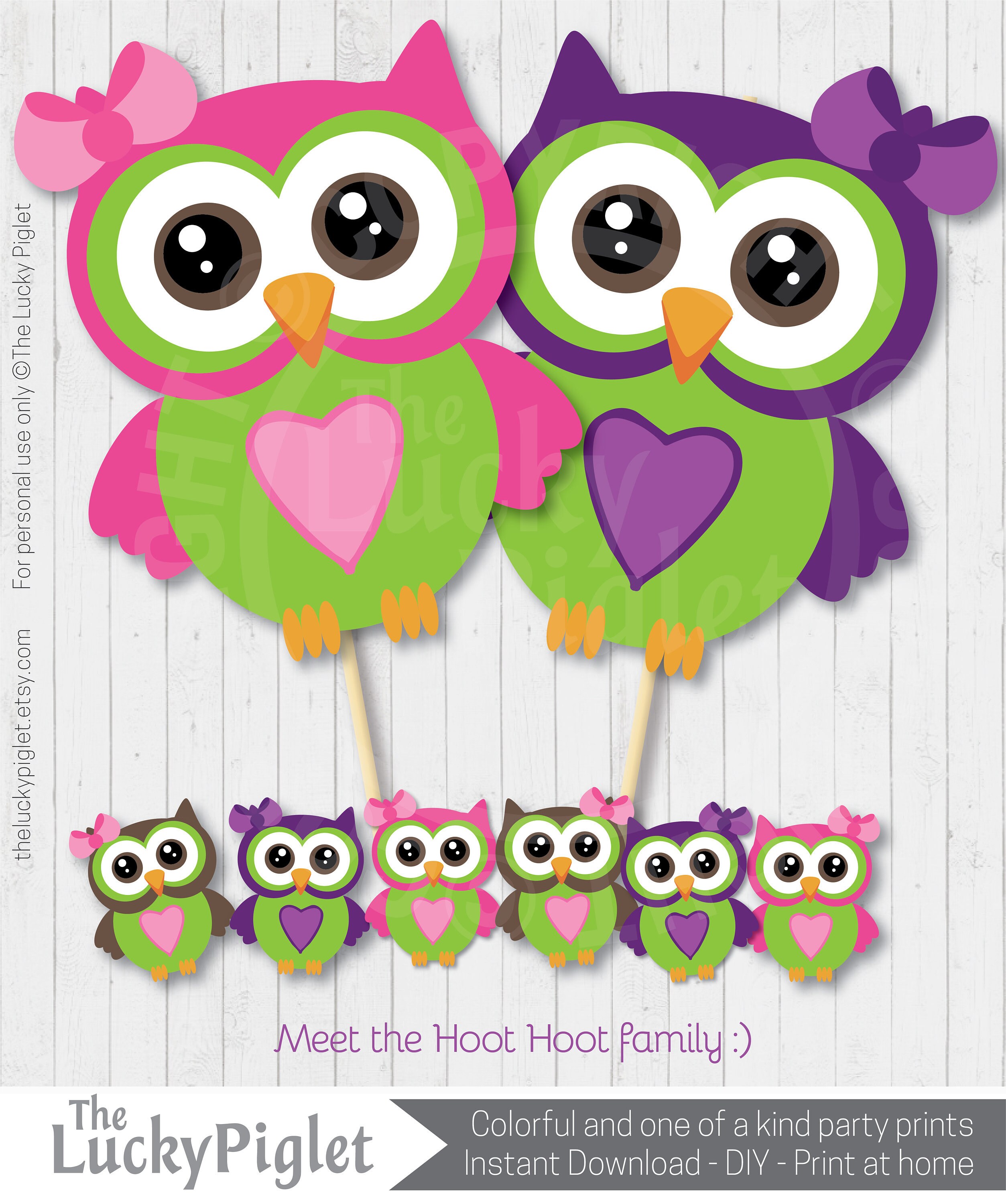 OWL DECORATIONS Owl Party Decorations Owl Baby Shower - Etsy Norway