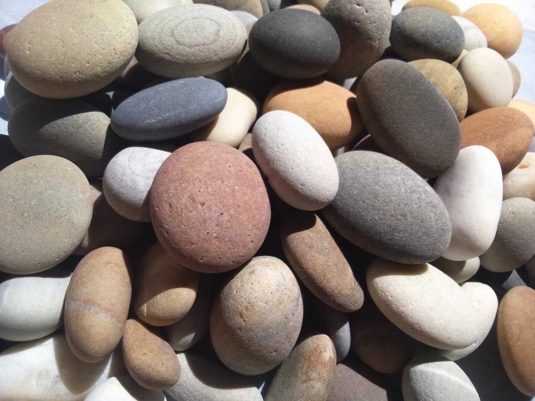 50 Beach Stones 3 to 4 Cm, 1.18 to 1.57 Inches, Small Atlantic Beach ...