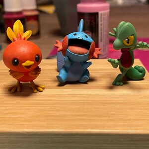Gen 3 Torchic Starter 3D Printed - Etsy