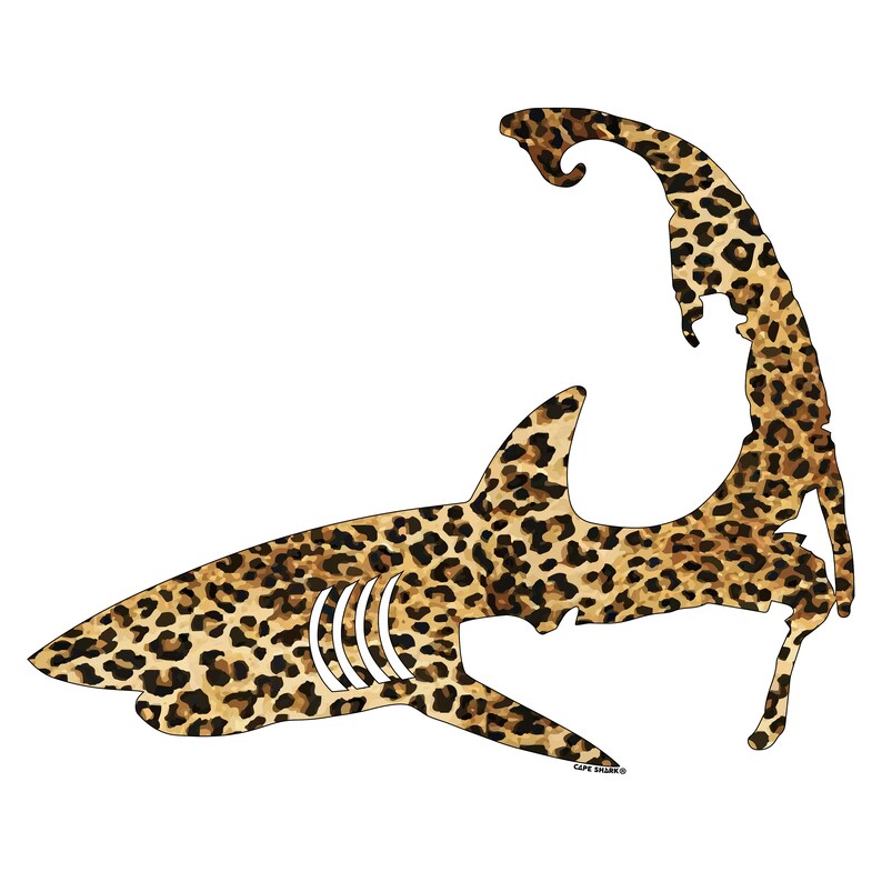 Cape Shark Sticker - Etsy