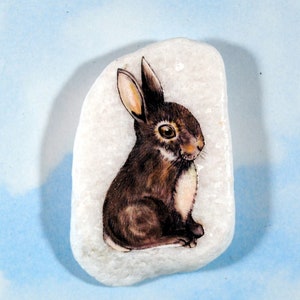 Rabbit Stone, Bunny Pocket Rock, Small Metaphysical Art for Animal ...