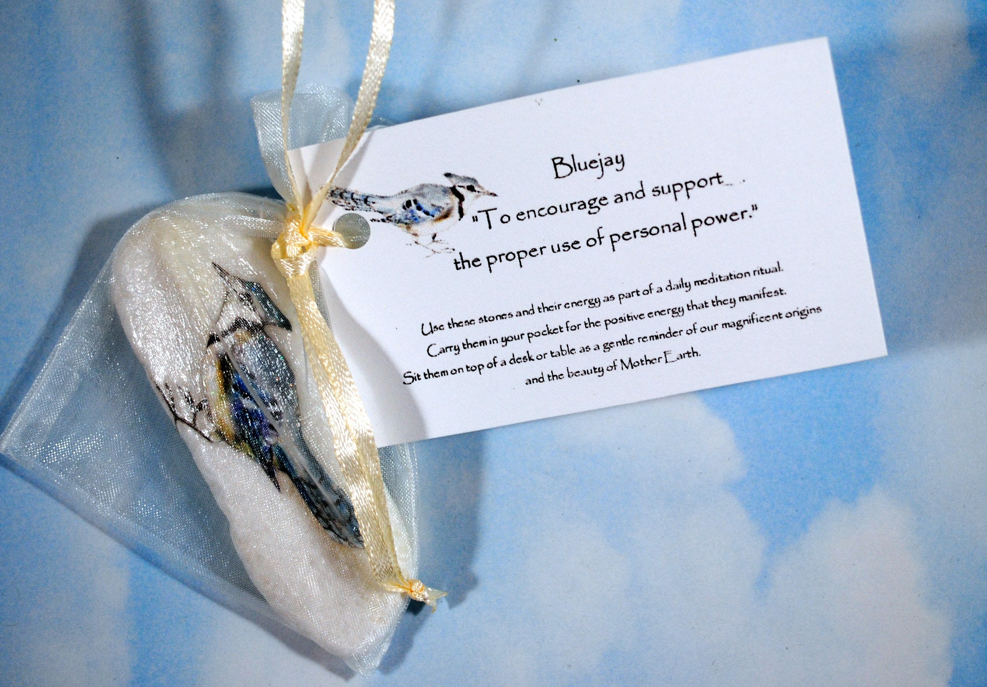 Blue Jay Stone Totem, Magic Pocket Stone for Meditation Practice, Gift ...