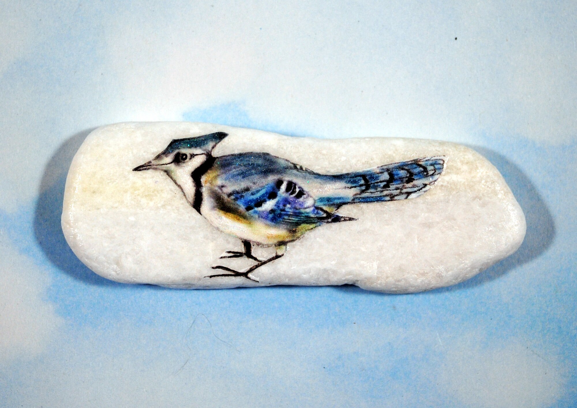 Blue Jay Stone Totem, Magic Pocket Stone for Meditation Practice, Gift ...