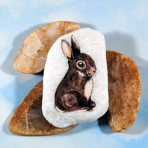Rabbit Stone, Bunny Pocket Rock, Small Metaphysical Art for Animal ...