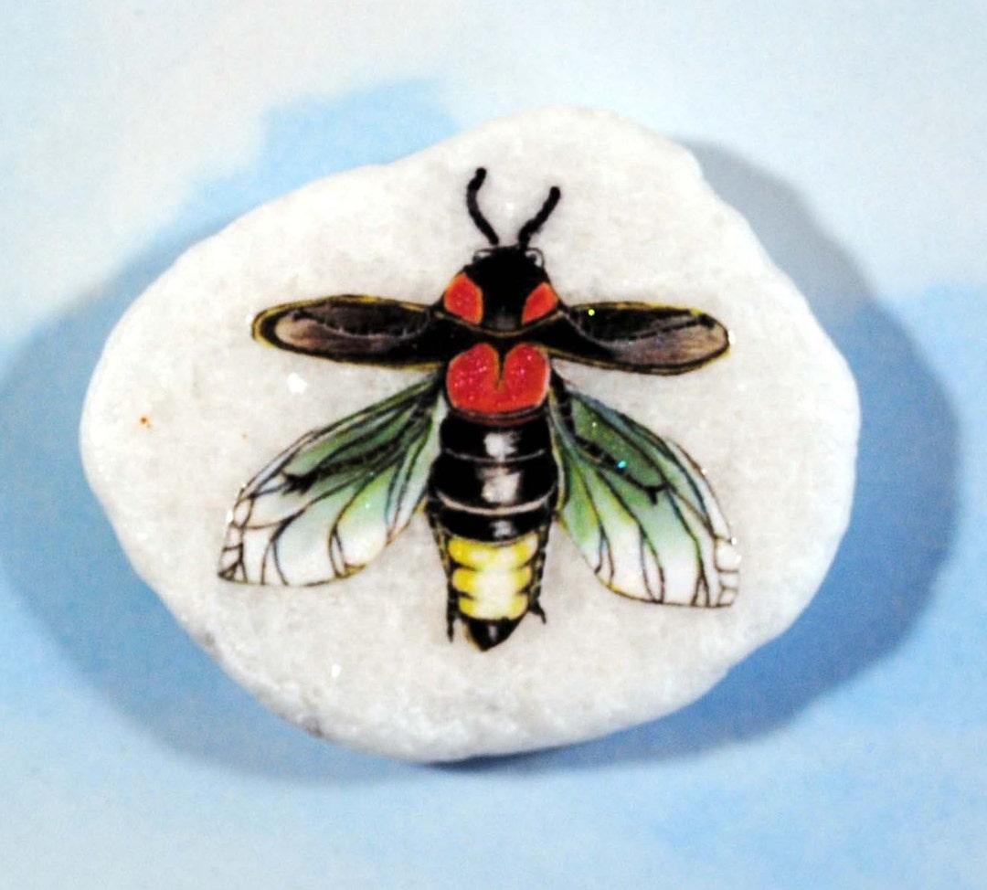 Firefly Stone, Glow in the Dark Lightning Bug, Gift for Insect Lover - Etsy