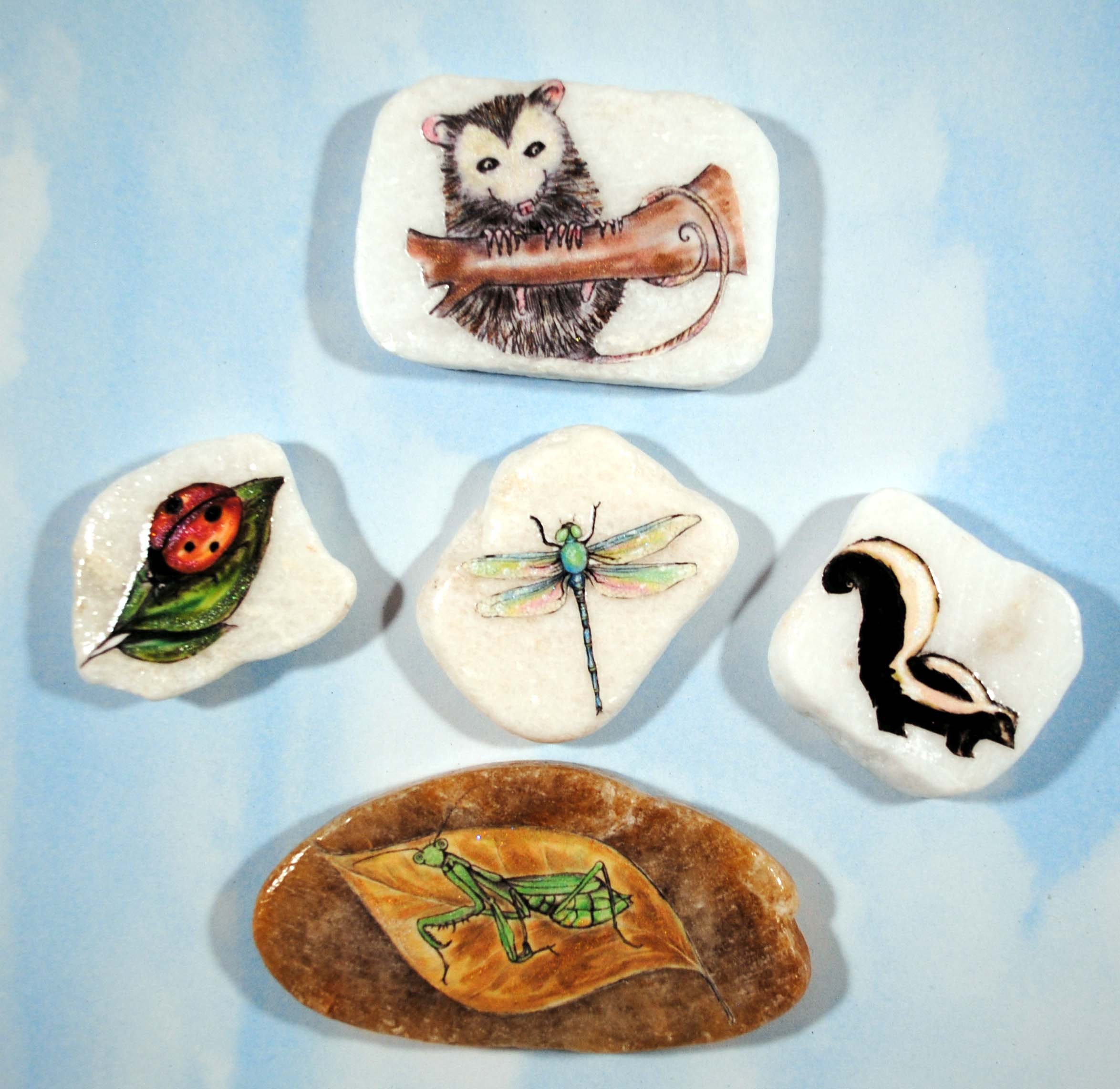 Opossum Stone, Magic Pocket Rock for Metaphysical Practice, Animal ...