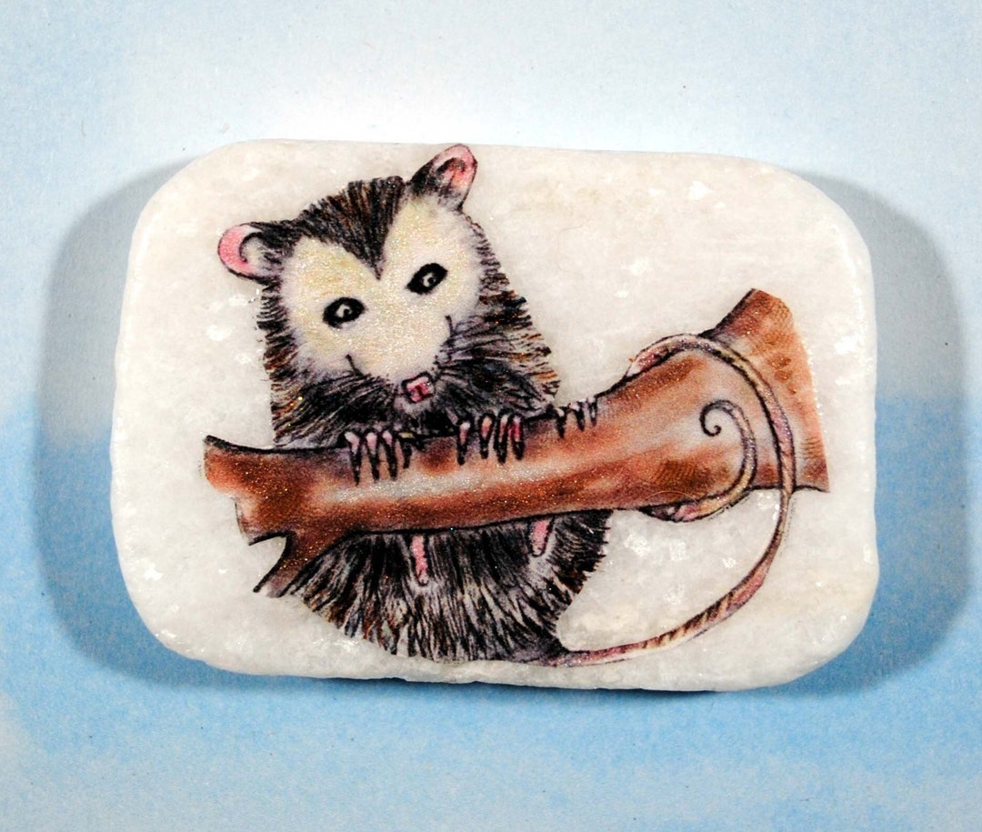 Opossum Stone, Magic Pocket Rock for Metaphysical Practice, Animal ...