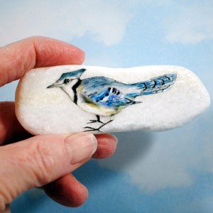Blue Jay Stone Totem, Magic Pocket Stone for Meditation Practice, Gift ...