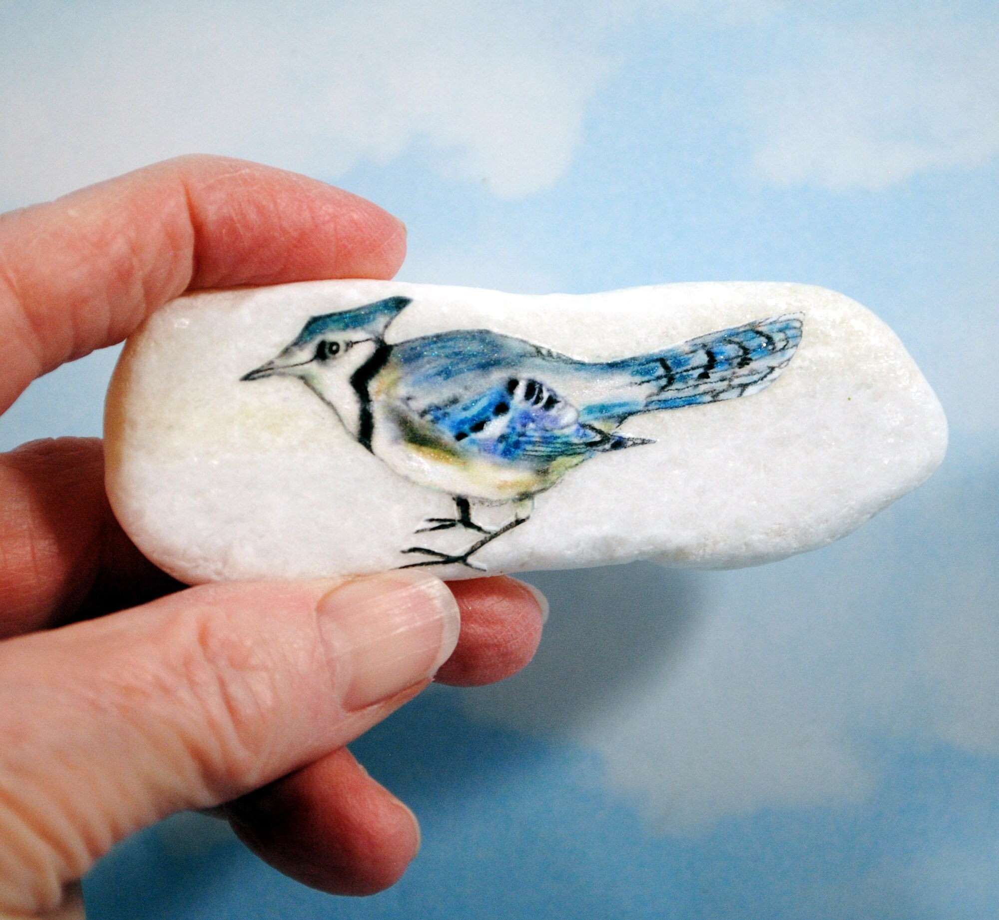 Blue Jay Stone Totem, Magic Pocket Stone for Meditation Practice, Gift ...