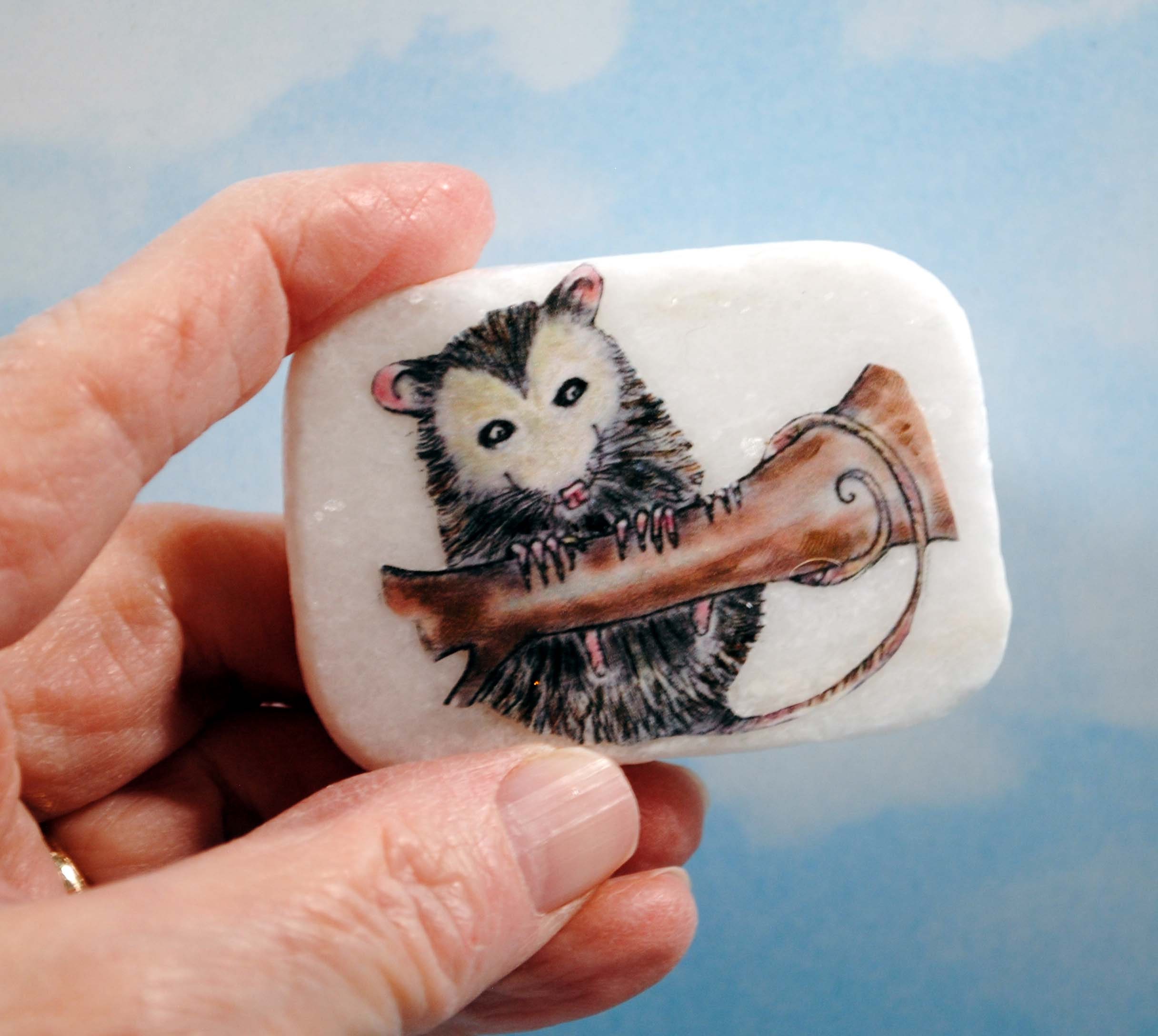 Opossum Stone, Magic Pocket Rock for Metaphysical Practice, Animal ...