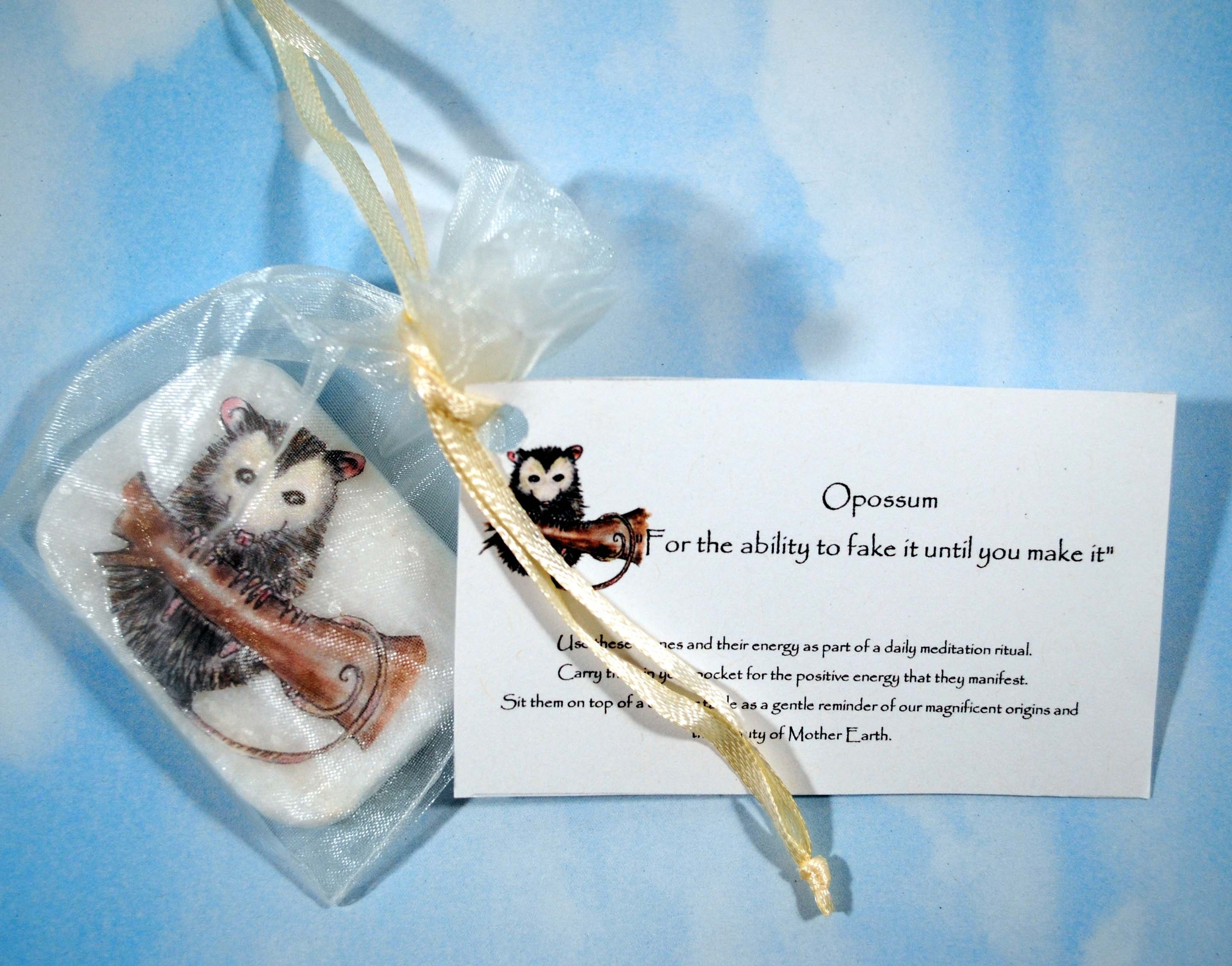 Opossum Stone, Magic Pocket Rock for Metaphysical Practice, Animal ...
