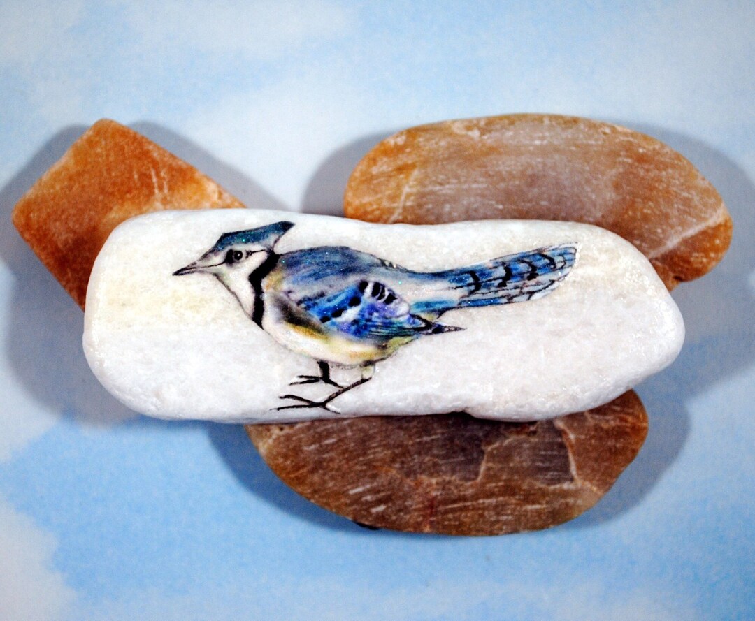 Blue Jay Stone Totem, Magic Pocket Stone for Meditation Practice, Gift ...