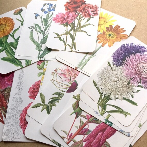 Botanical Book Pages Vintage Botanical Flower Theme | Etsy