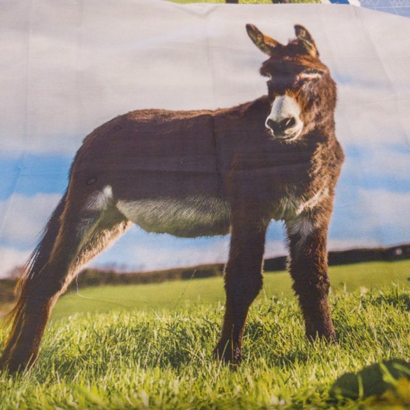 Donkey Pillow - Etsy