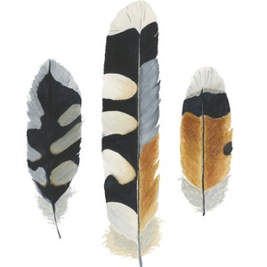 Three Feathers, American Kestral, Native American Style, Tribal Art ...