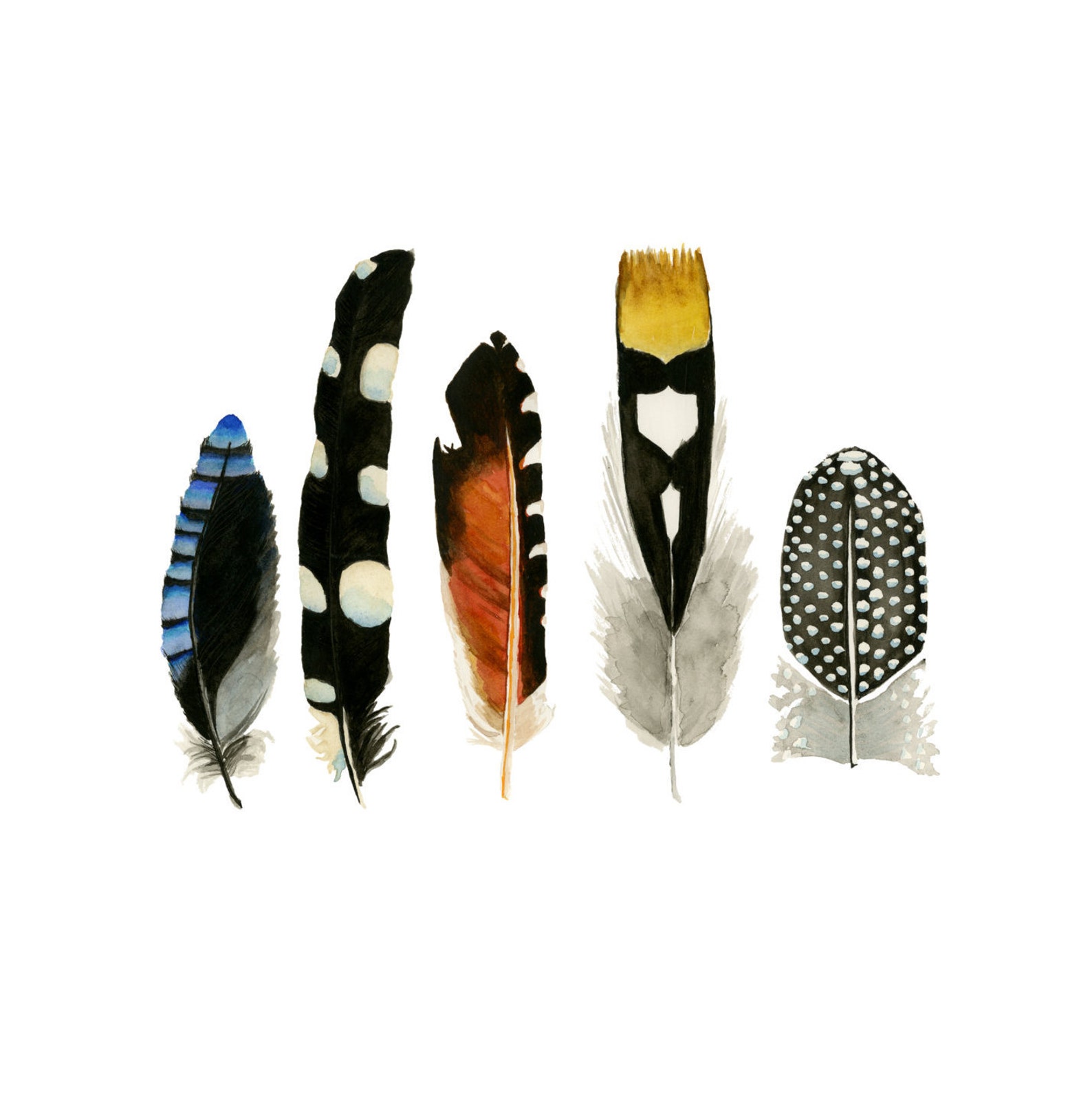 5 Feathers Family of 5 Painting Watercolor Painting Wall - Etsy