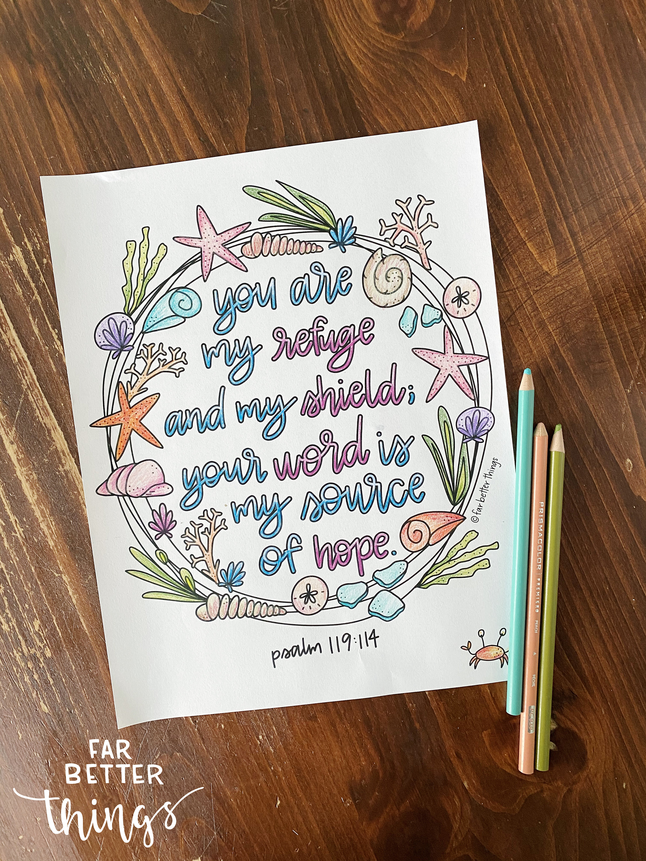 Bible Verse Coloring Page Psalm 119:114 Printable Coloring Page, Bible ...