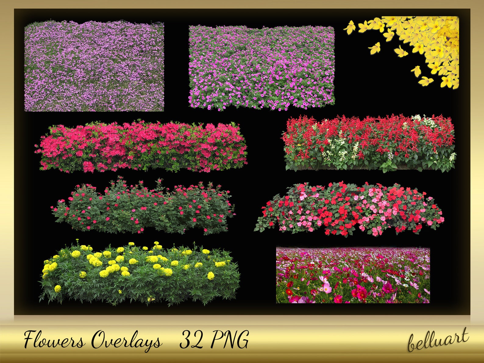 32 Flowers Photo Overlays Flowers overlay tulip photoshop | Etsy