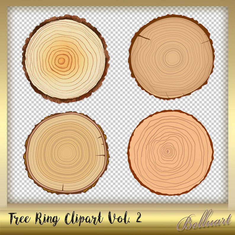 10 Tree Ring Clip Art Vol. 2 Tree Ring Clipart Tree Wood - Etsy 日本