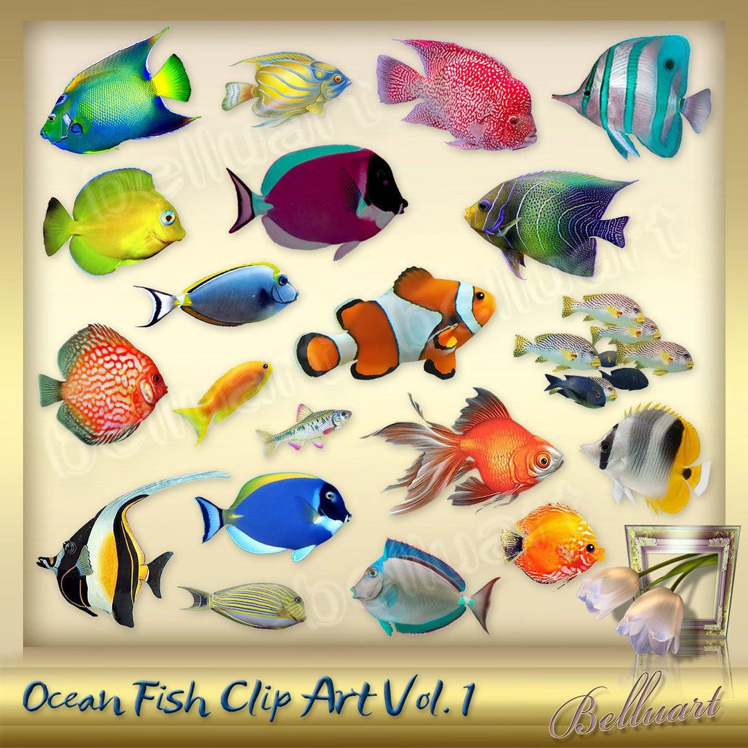 25 Ocean Fish Clipart Vol. 1 Tropical Fish Clipart Sea - Etsy