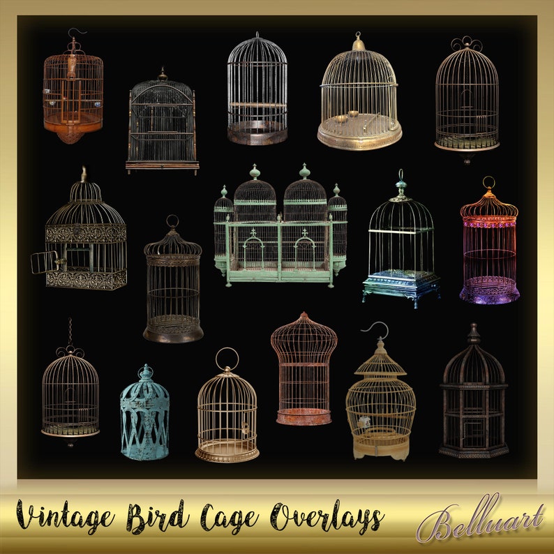 Bird Cage Overlays Bird Cage Clip Art Separate PNG Files | Etsy