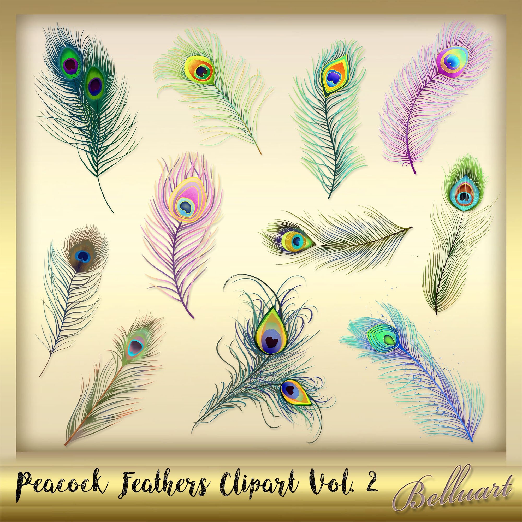 Peacock Feathers Clipart