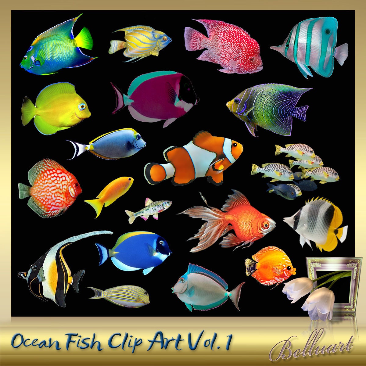 25 Ocean Fish Clipart Vol. 1 Tropical Fish Clipart Sea | Etsy