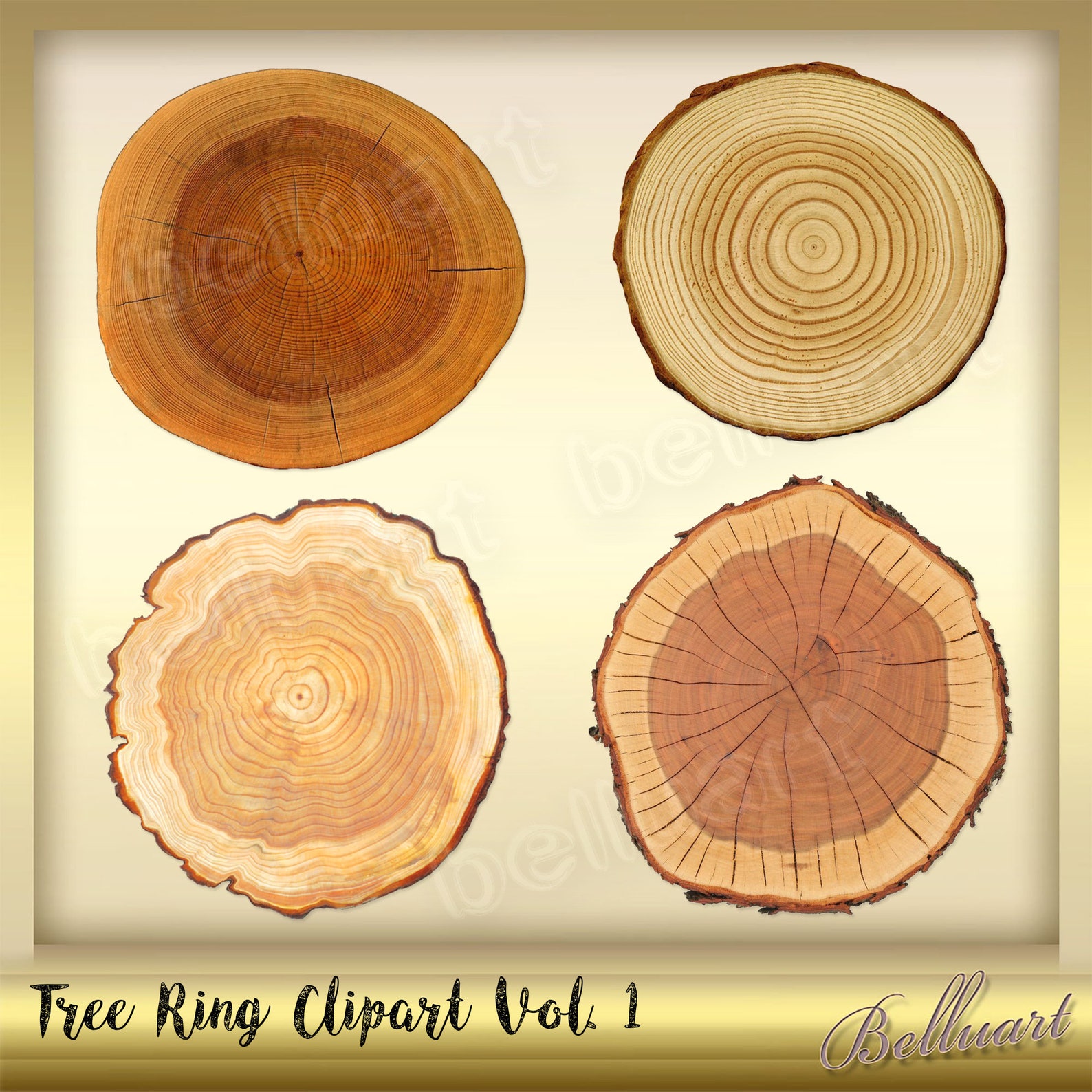12 Tree Ring Clip Art Vol. 1 Tree Ring Clipart Tree Wood | Etsy