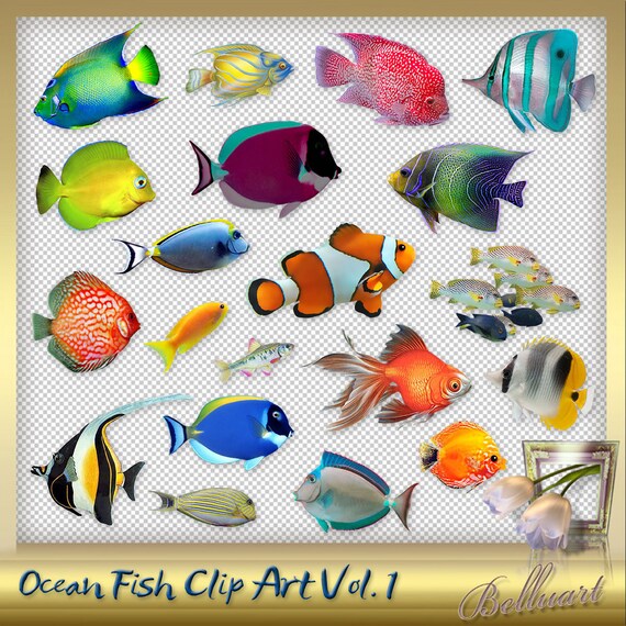Ocean Fish Clip Art