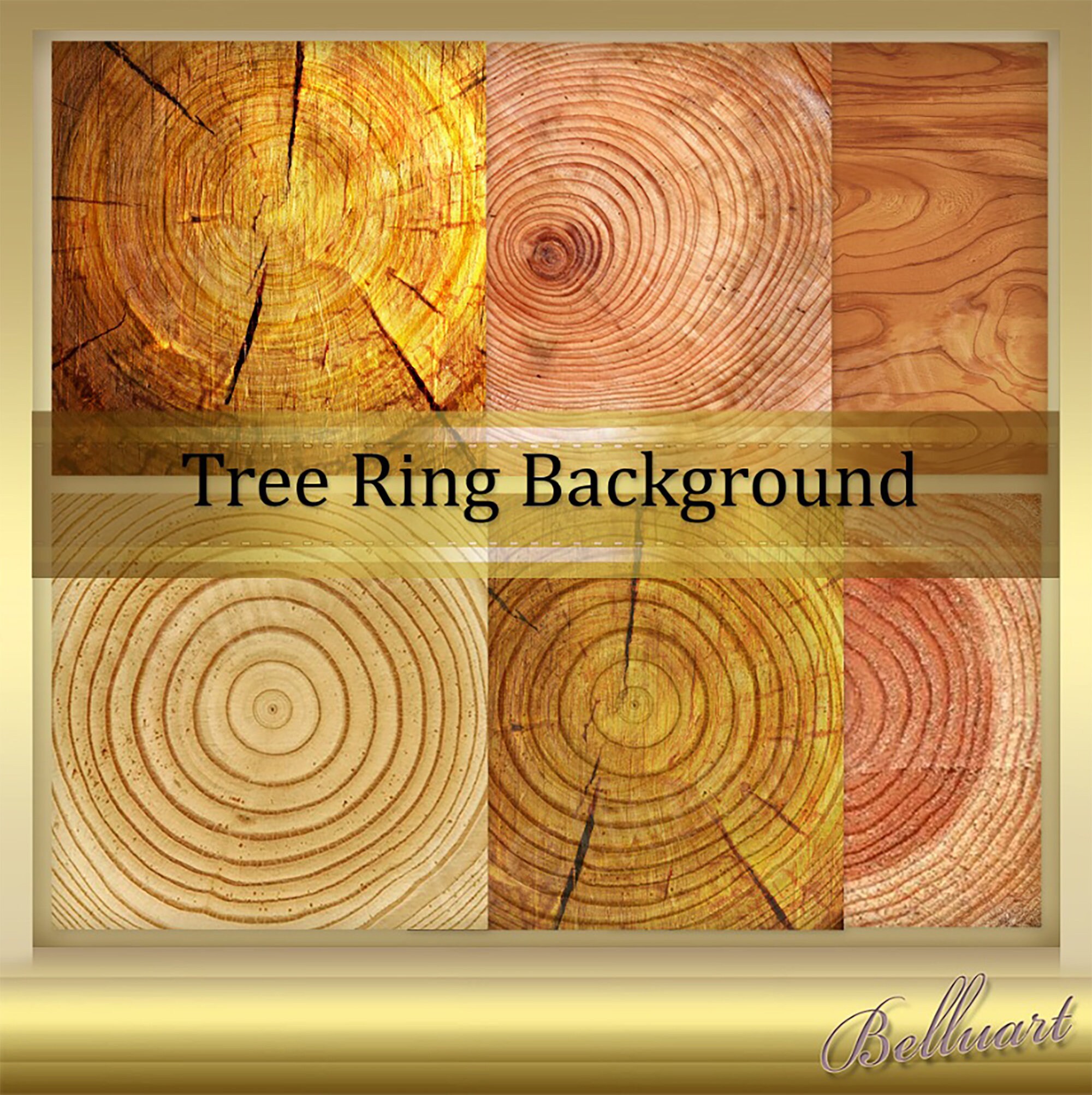 6 Tree Ring Background Tree Ring Texture Tree Ring - Etsy