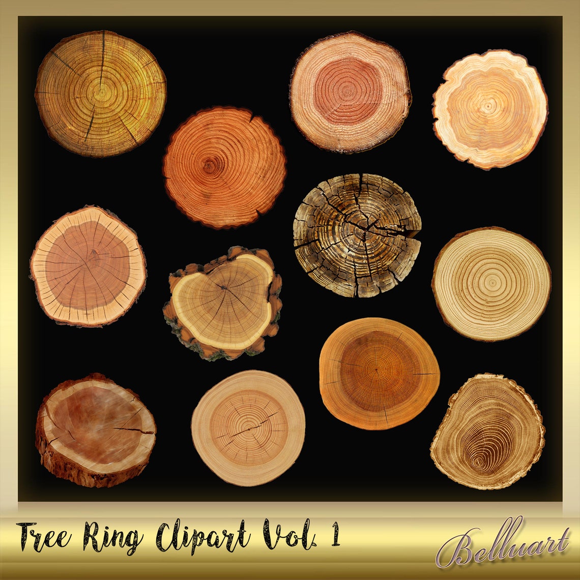 12 Tree Ring Clip Art Vol. 1 Tree Ring Clipart Tree Wood | Etsy