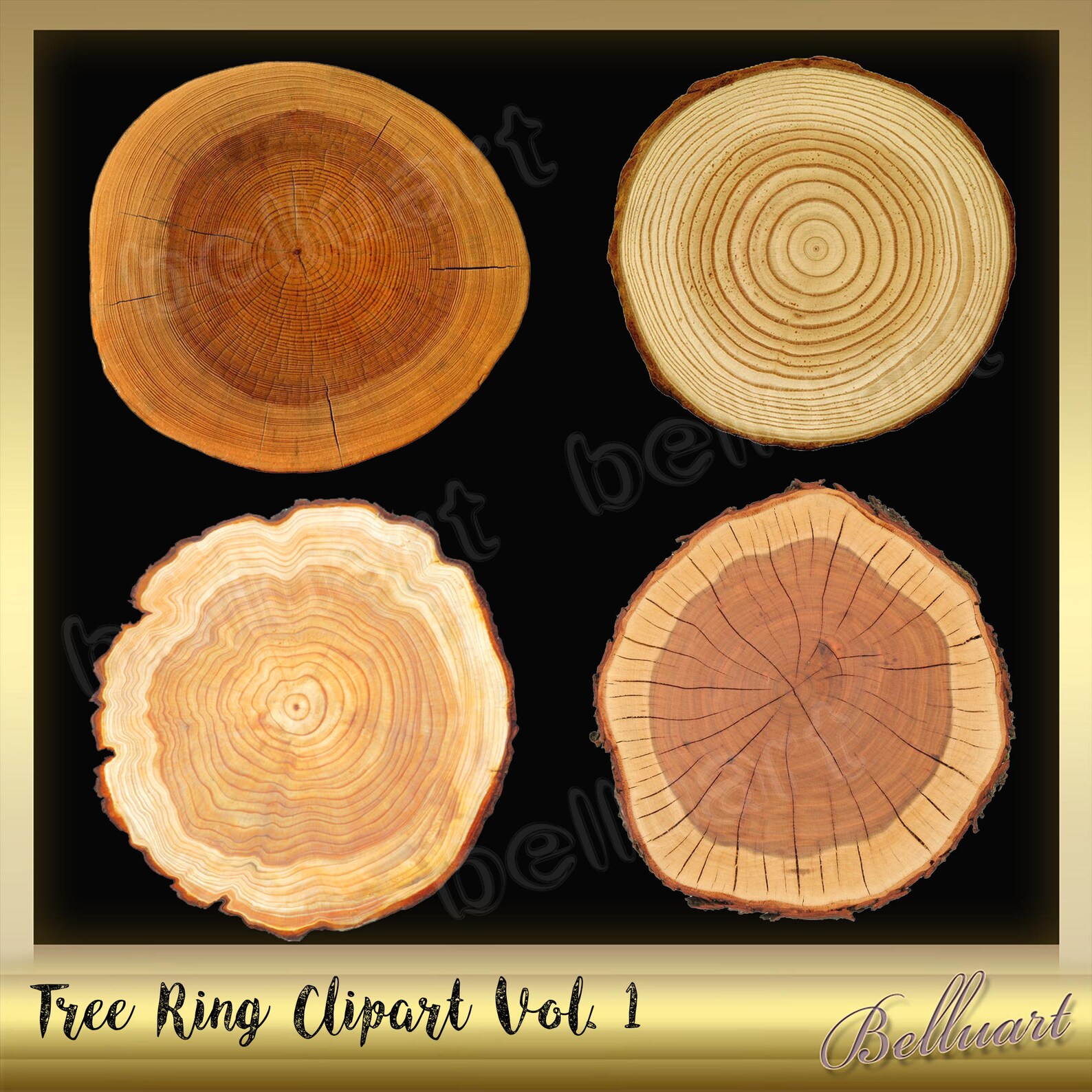 12 Tree Ring Clip Art Vol. 1 Tree Ring Clipart Tree Wood | Etsy