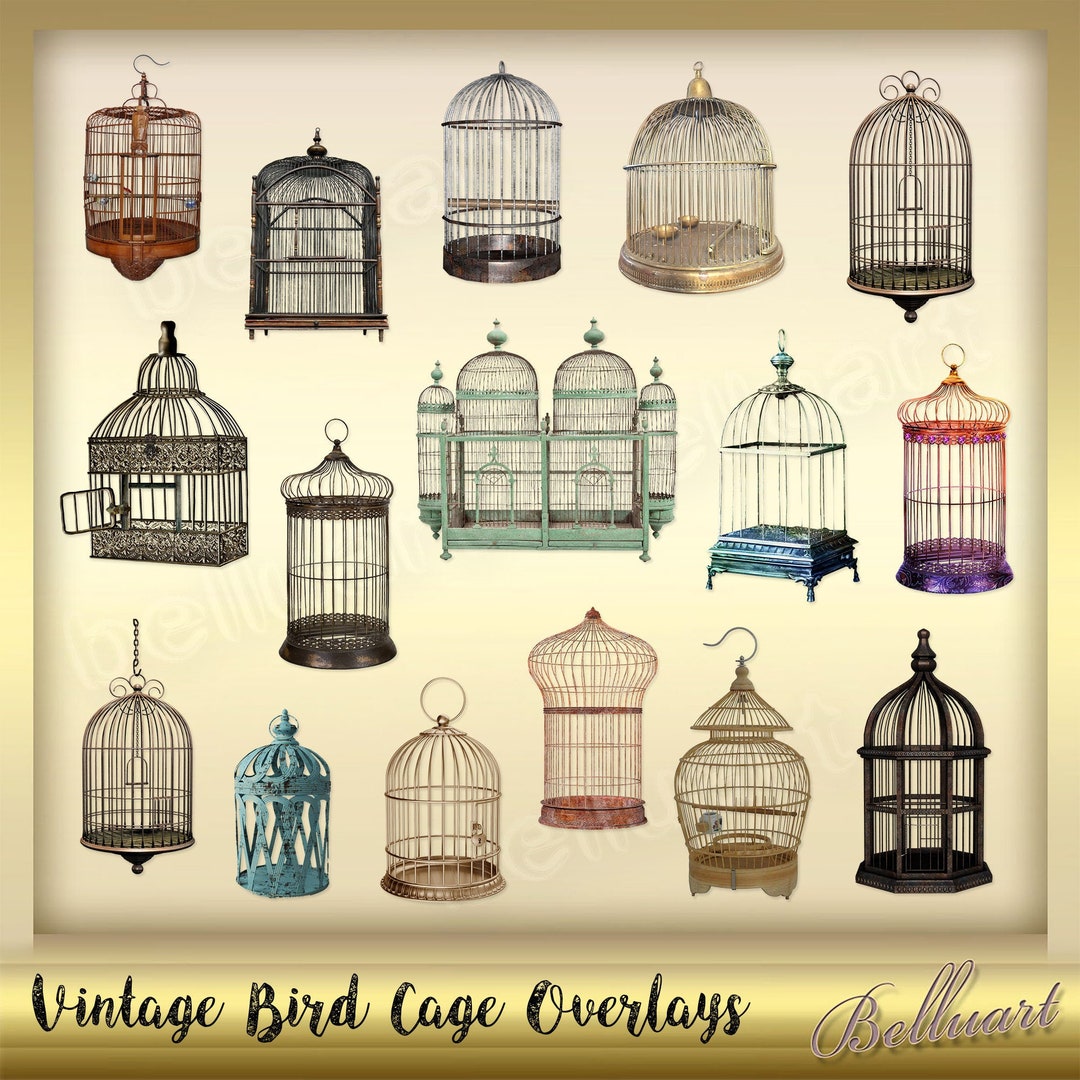 Bird Cage Overlays Bird Cage Clip Art Separate PNG Files - Etsy