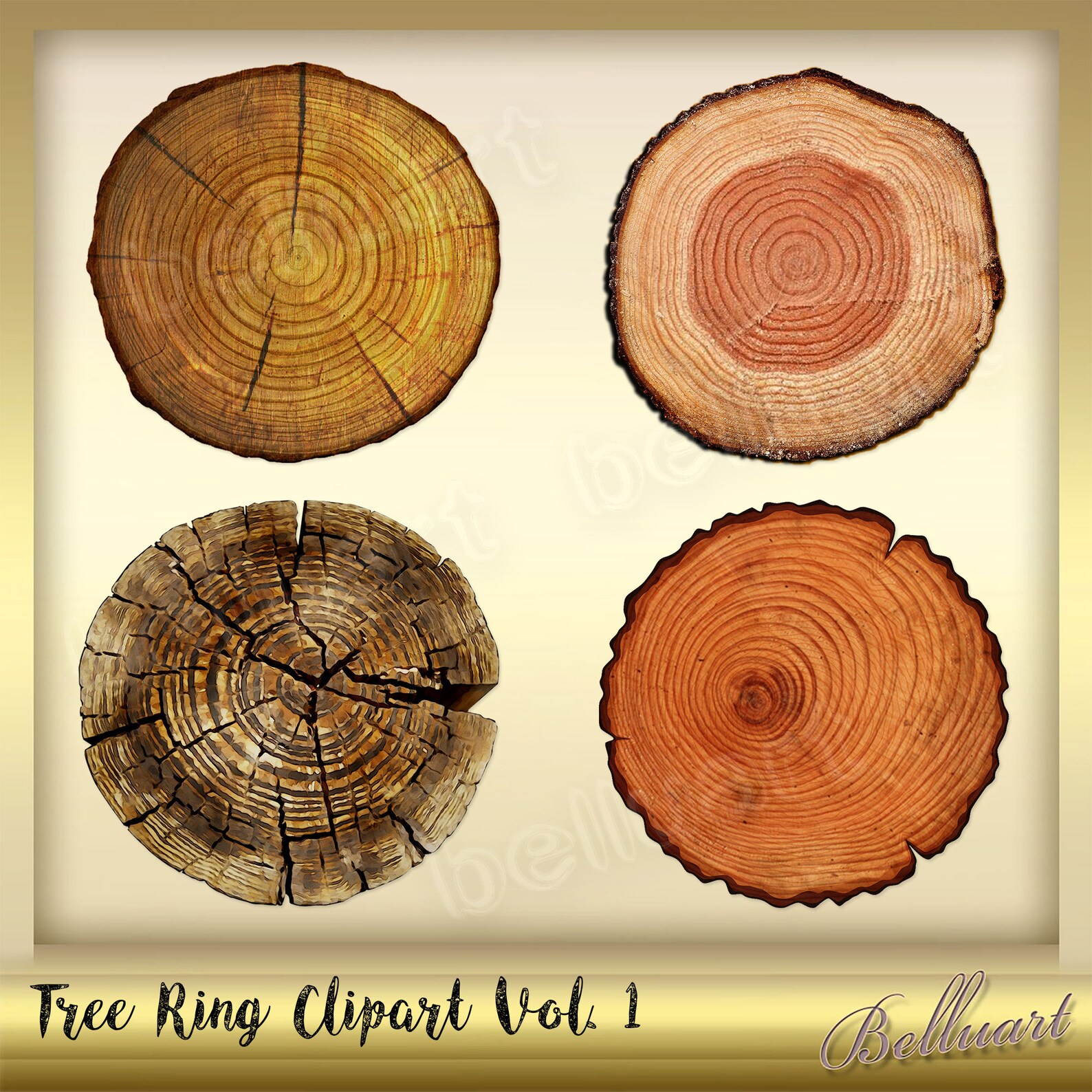 12 Tree Ring Clip Art Vol. 1 Tree Ring Clipart Tree Wood | Etsy
