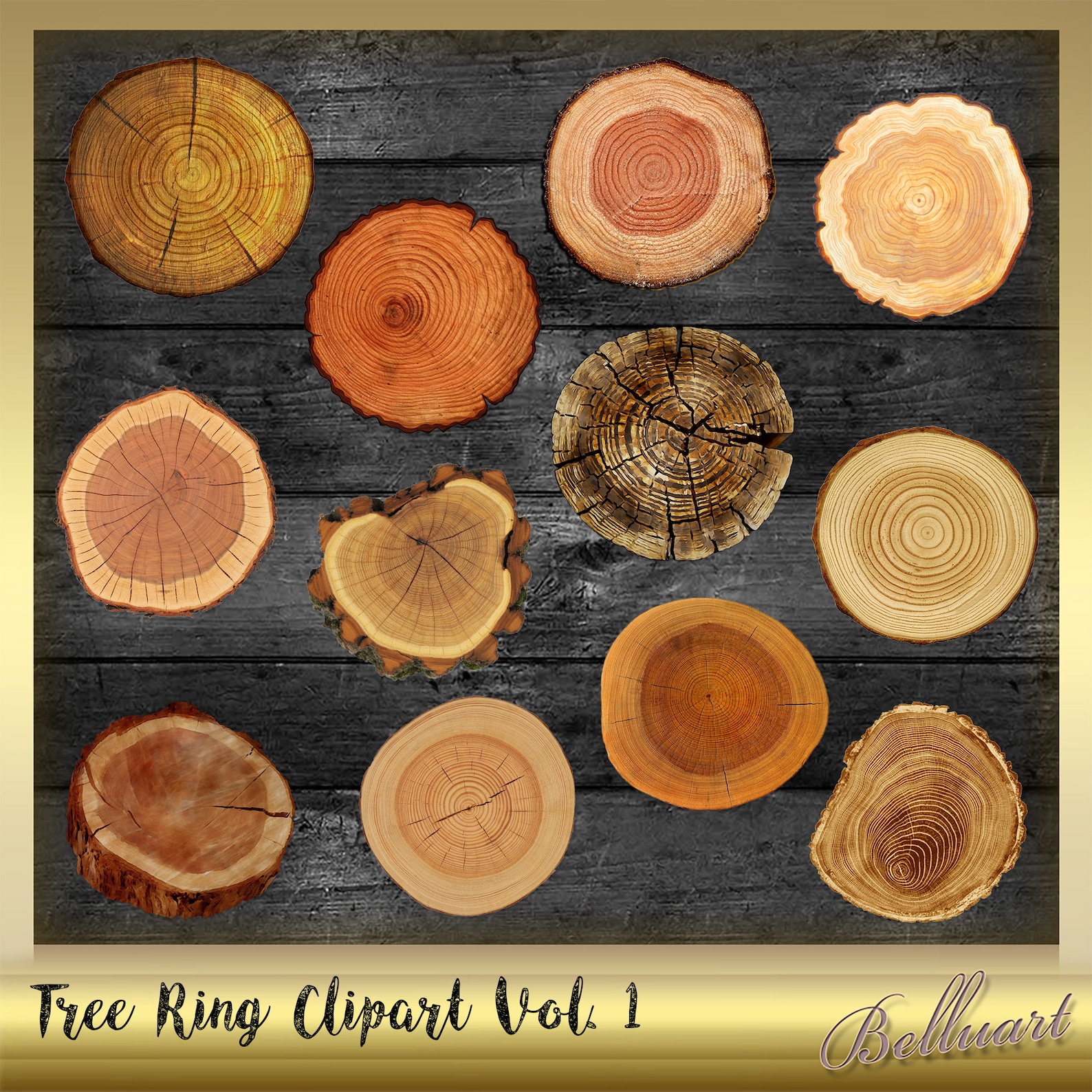 12 Tree Ring Clip Art Vol. 1 Tree Ring Clipart Tree Wood | Etsy