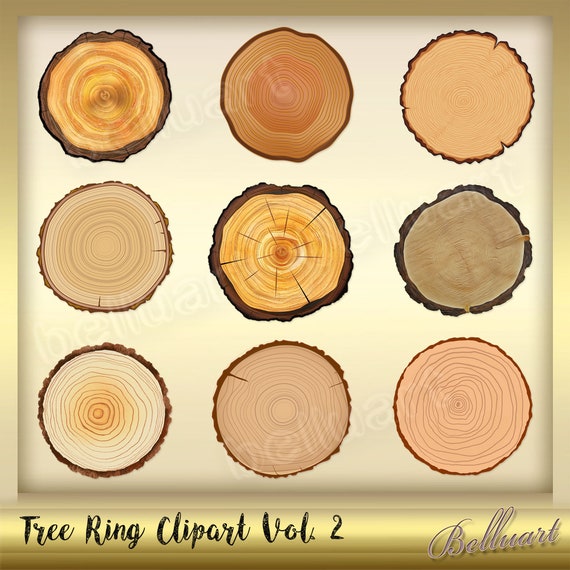 10 Tree Ring Clip Art Vol. 2 Tree Ring Clipart Tree Wood | Etsy