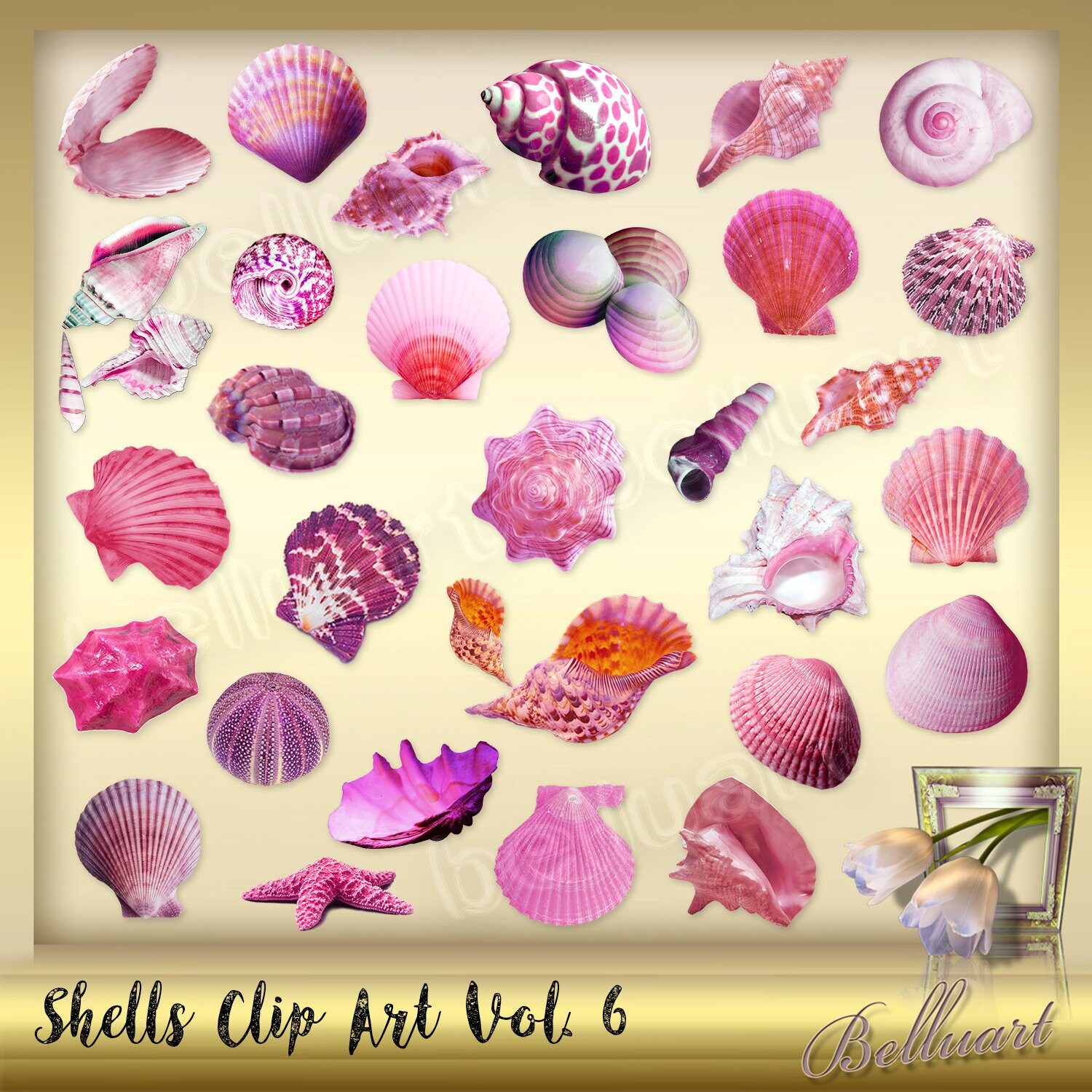 Pink Seashell Clipart