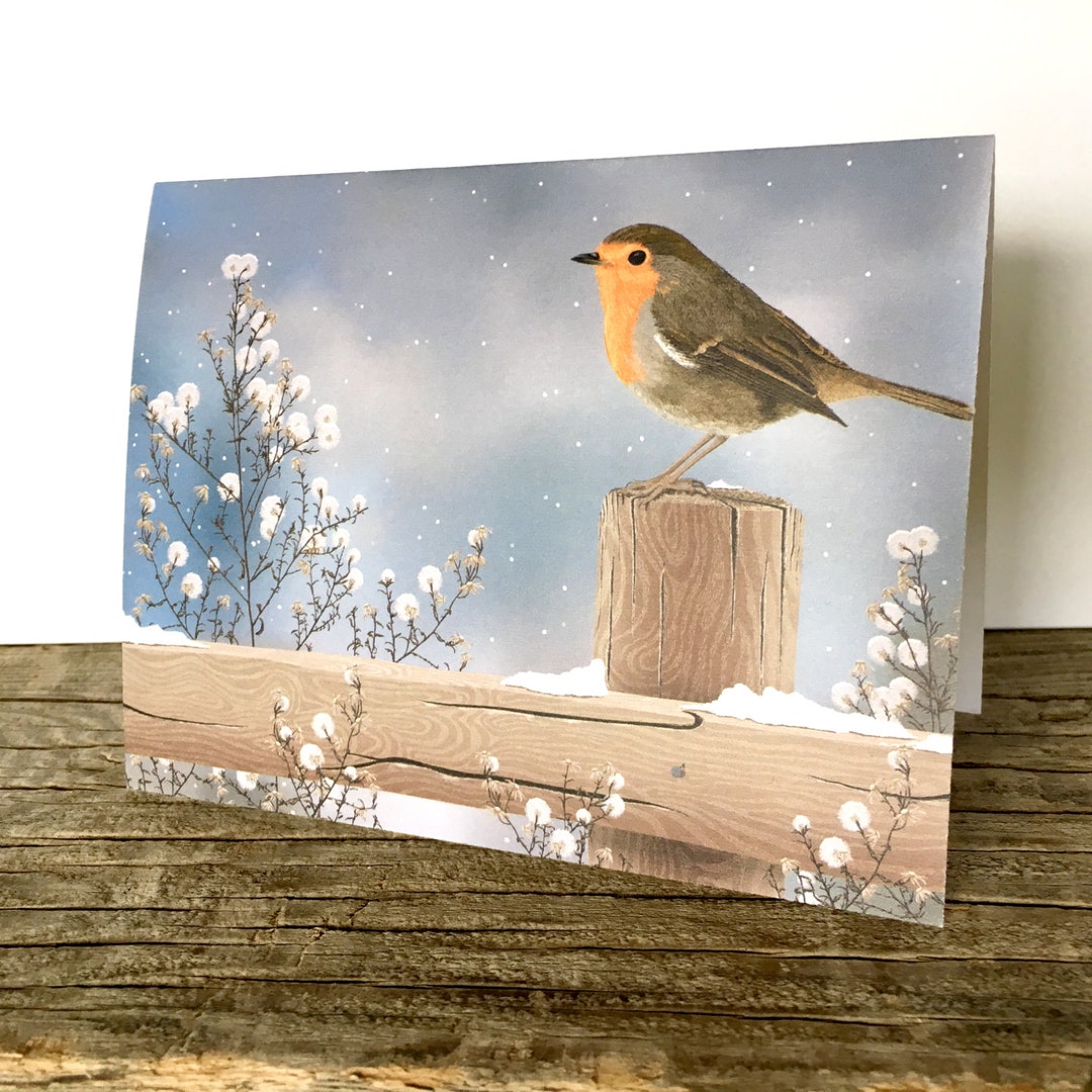 European Robin Christmas Card, Redbreast Robin Holiday Card, Winter ...
