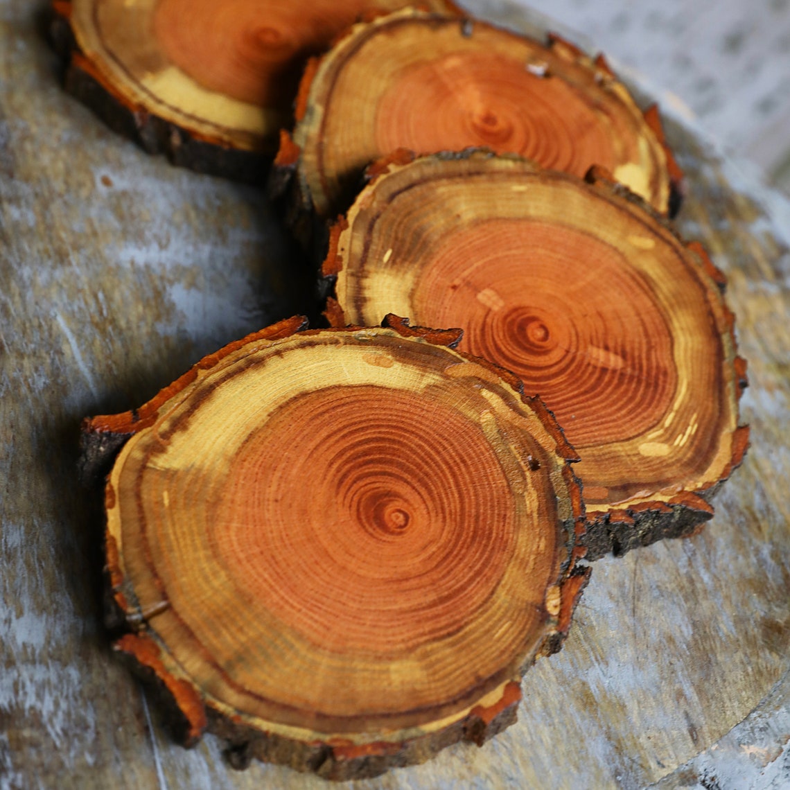 Rare Red Oak Natural Tree Wood Coasters With Bark (4 or 6 Pack), House ...