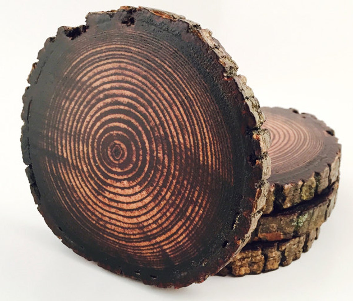 Natural Tree Wood Coasters With Bark & Dark Stain 4-pack - Etsy